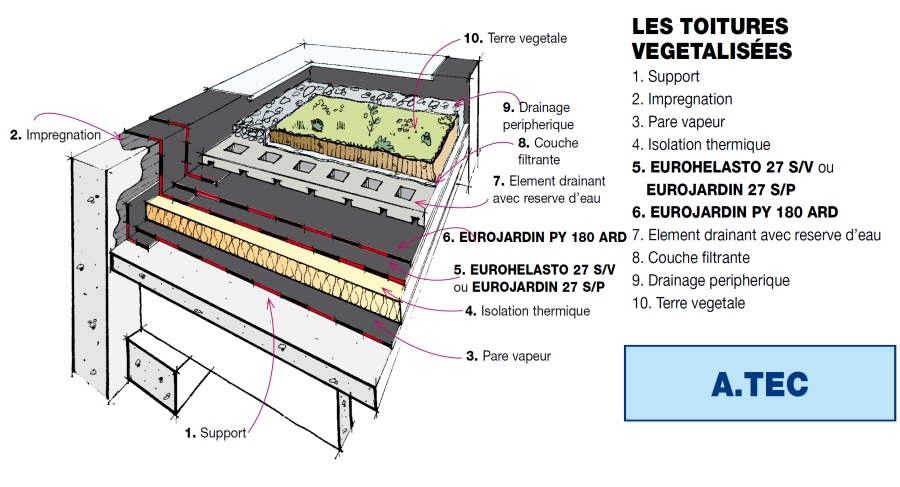 Détails Stratigraphie: Les toitures vegetalisées